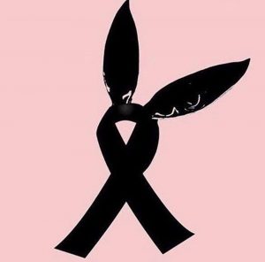 One Love Manchester | Dove vedere il concerto di Ariana Grande